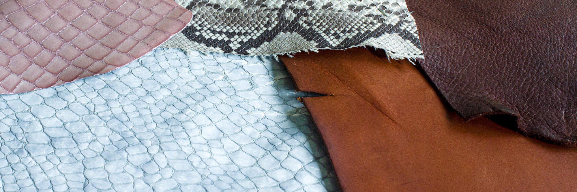 Der ultimative Überblick aller Lederarten